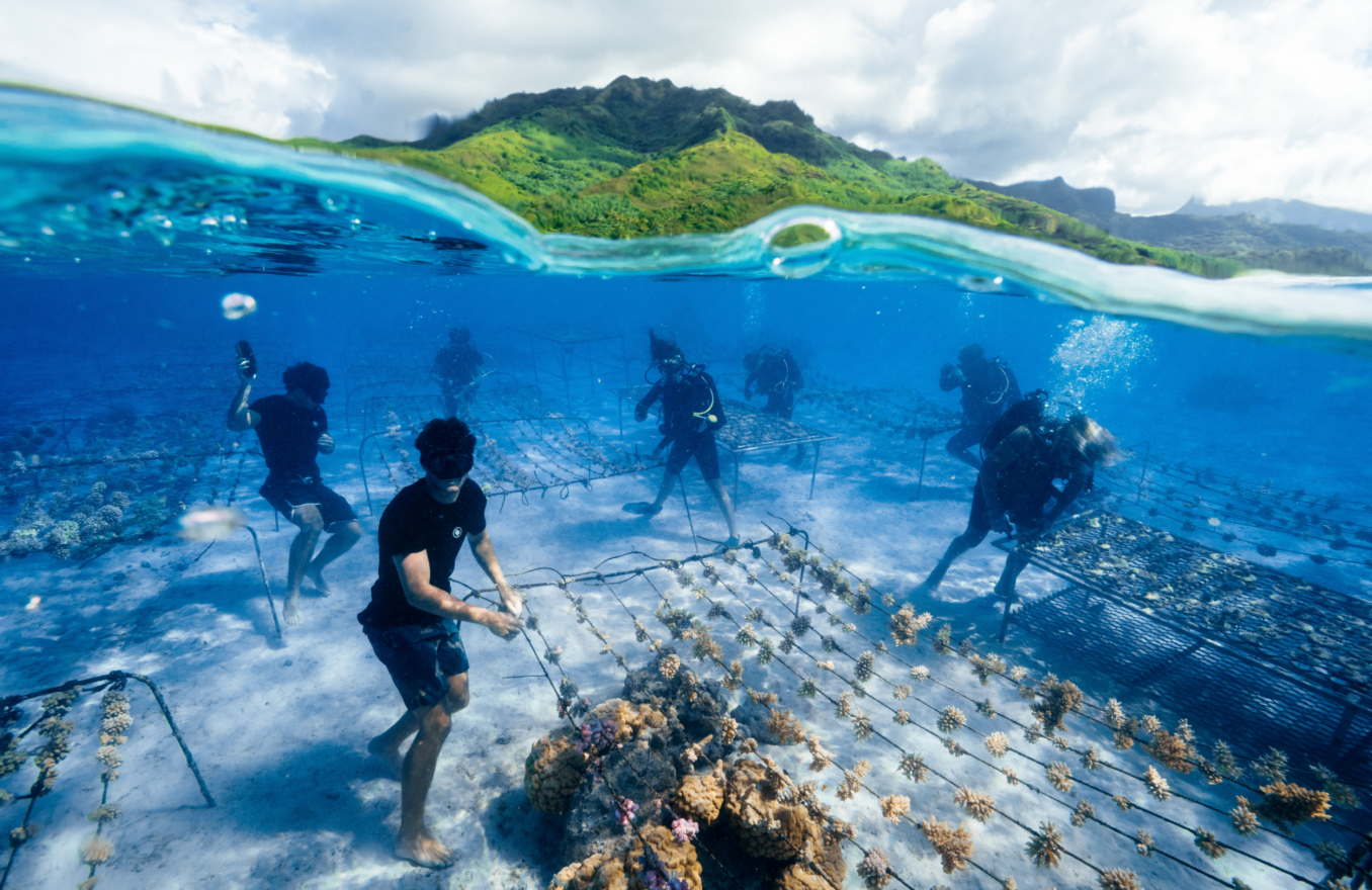 Kissick Family Foundation | Catalyzing change through next generation ...